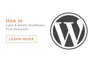 How to Limit & Delete WordPress Post Revisions | PeoplesHost